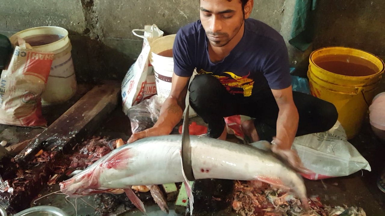 Big Mystus Gulio / Long Whiskers Catfish Slice in Fish Market - YouTube