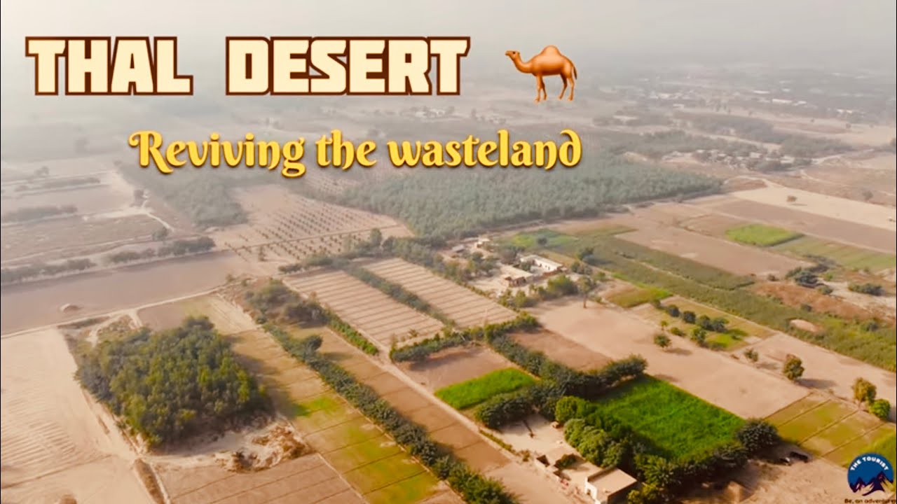 Exploring the Thal Desert | Ep 5 |The converting desert | - YouTube