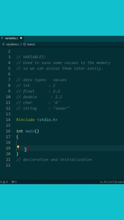 Main function in C has an exception #cprogramming #codinginc - YouTube