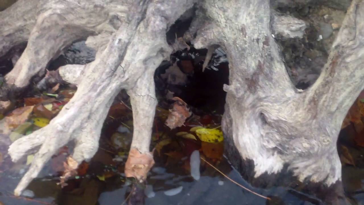 Crack Digging and River Finds Metal Detecting With The AT Pro - YouTube