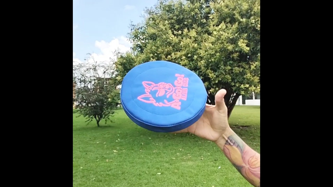 Frisbee ALIEN azul para perros con ️‍🔥 #perros #dogs - YouTube