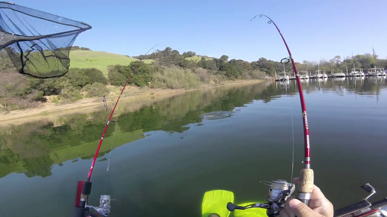 Lake Chabot - 5 pound trout Feb 2016 - YouTube
