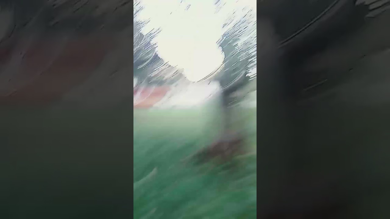 an entity chasing you in the back rooms be like - YouTube