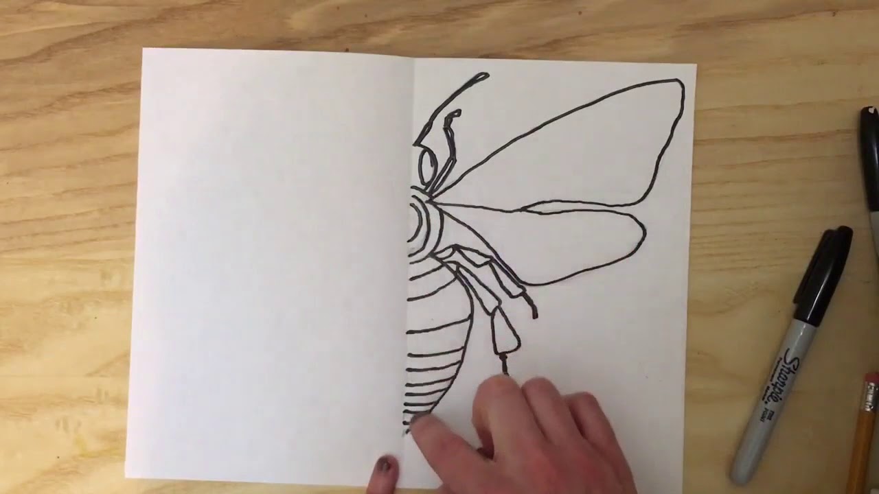 Bee Symmetry - YouTube
