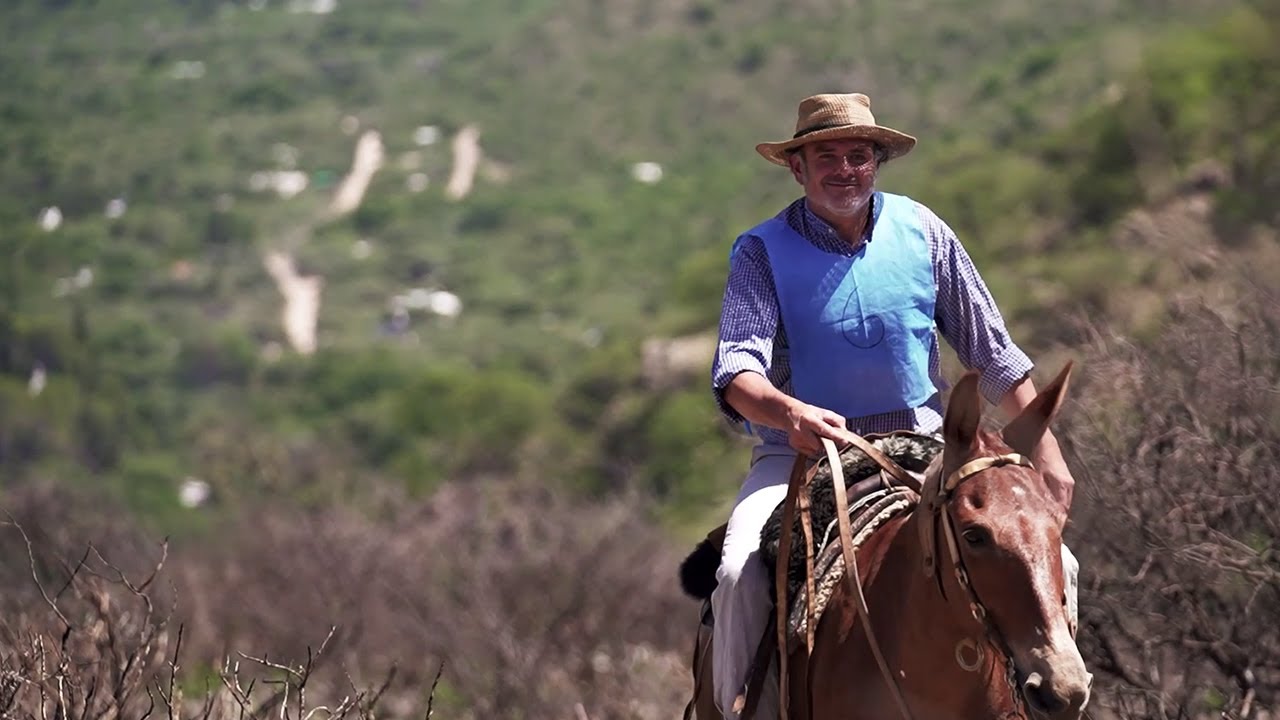 3er Encuentro Nacional de Mulares y Asnales en San Marcos Sierras - YouTube