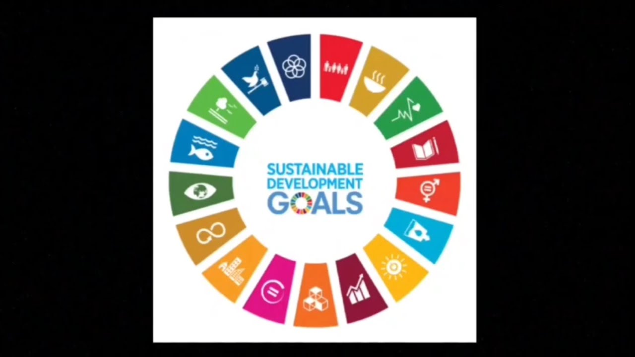SDG Practice - How to change yourself to a sustainable lifestyle - YouTube