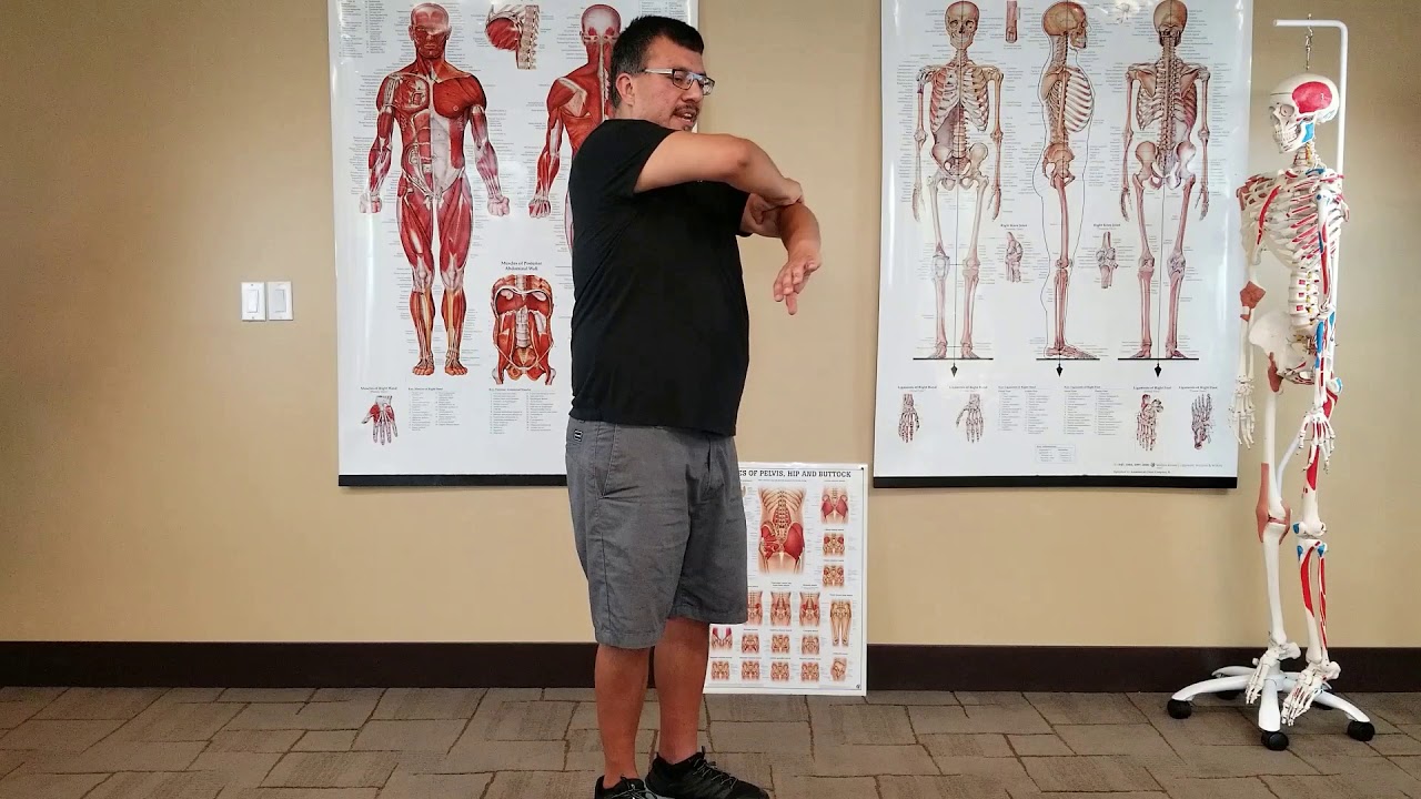 Releasing the Bicep Muscles - YouTube