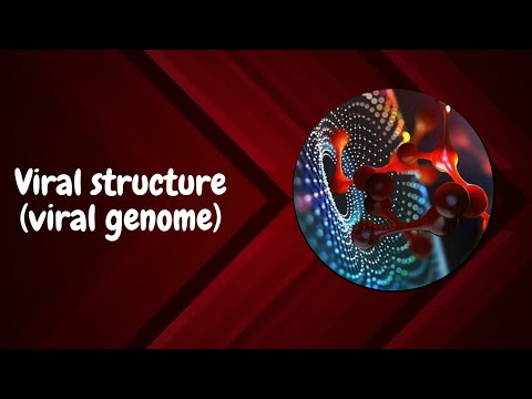 Viral structure(viral genome). #virus #virology #viruses #viral #2024 # ...