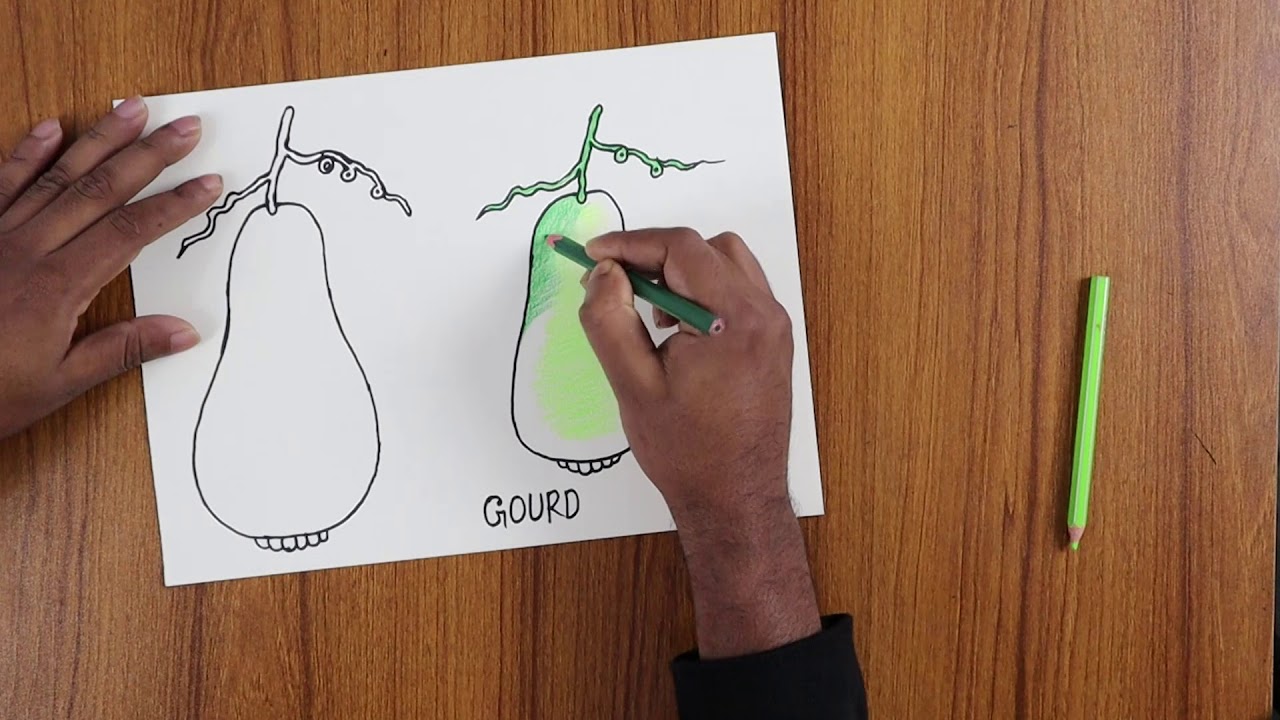 How to draw Gourd step by step - YouTube