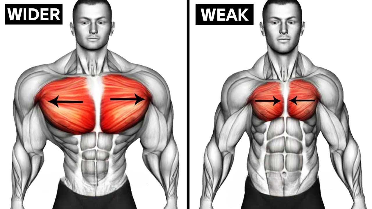 Full Chest Workout | Upper Pecs - Middle Pecs - Lower Pecs (8 Best ...