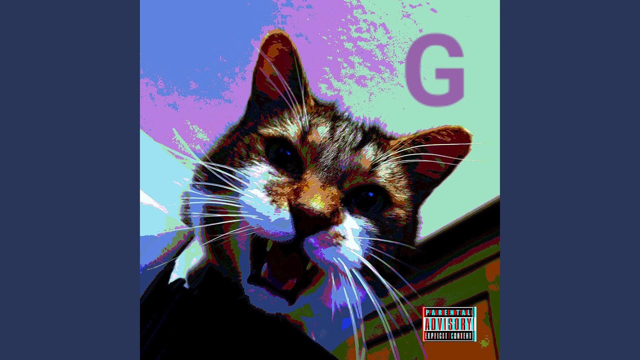 House Cat Rap - YouTube