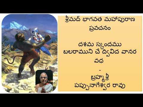 Srimad Bhagavata Mahapurana Pravachanam - Dvivida Vaanara Vadha - By ...