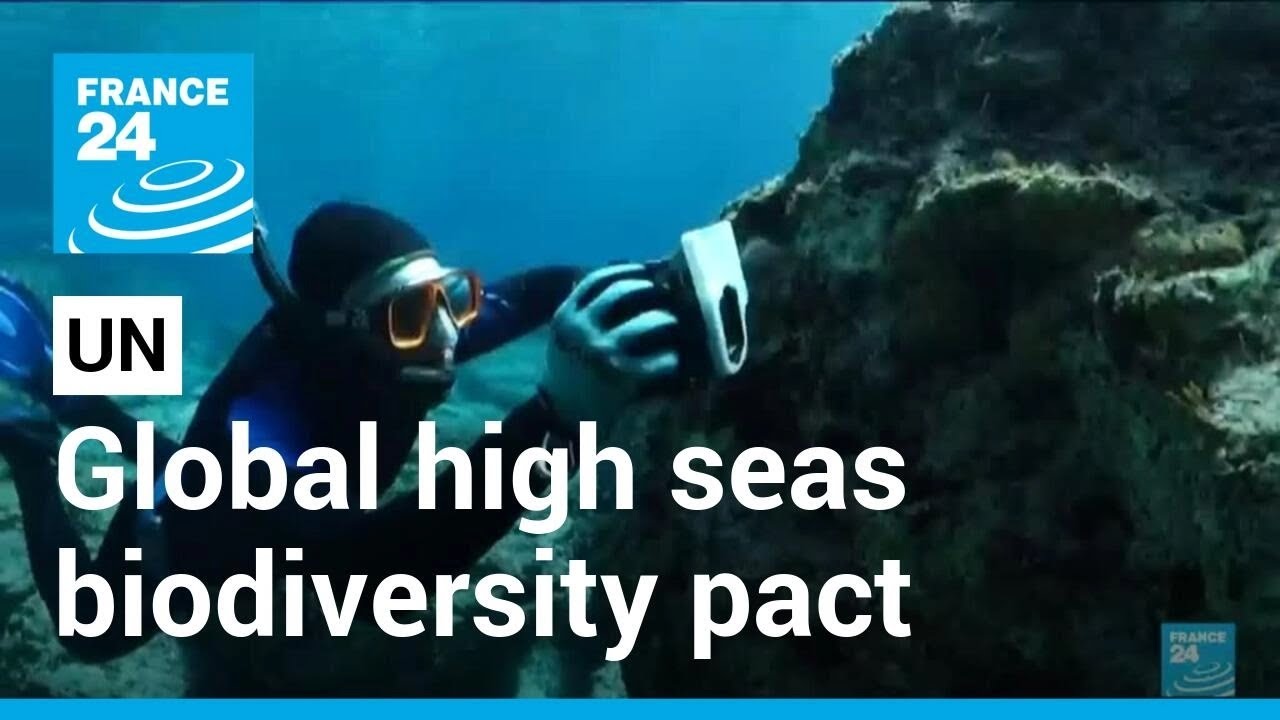 United Nations countries secure global high seas biodiversity pact ...