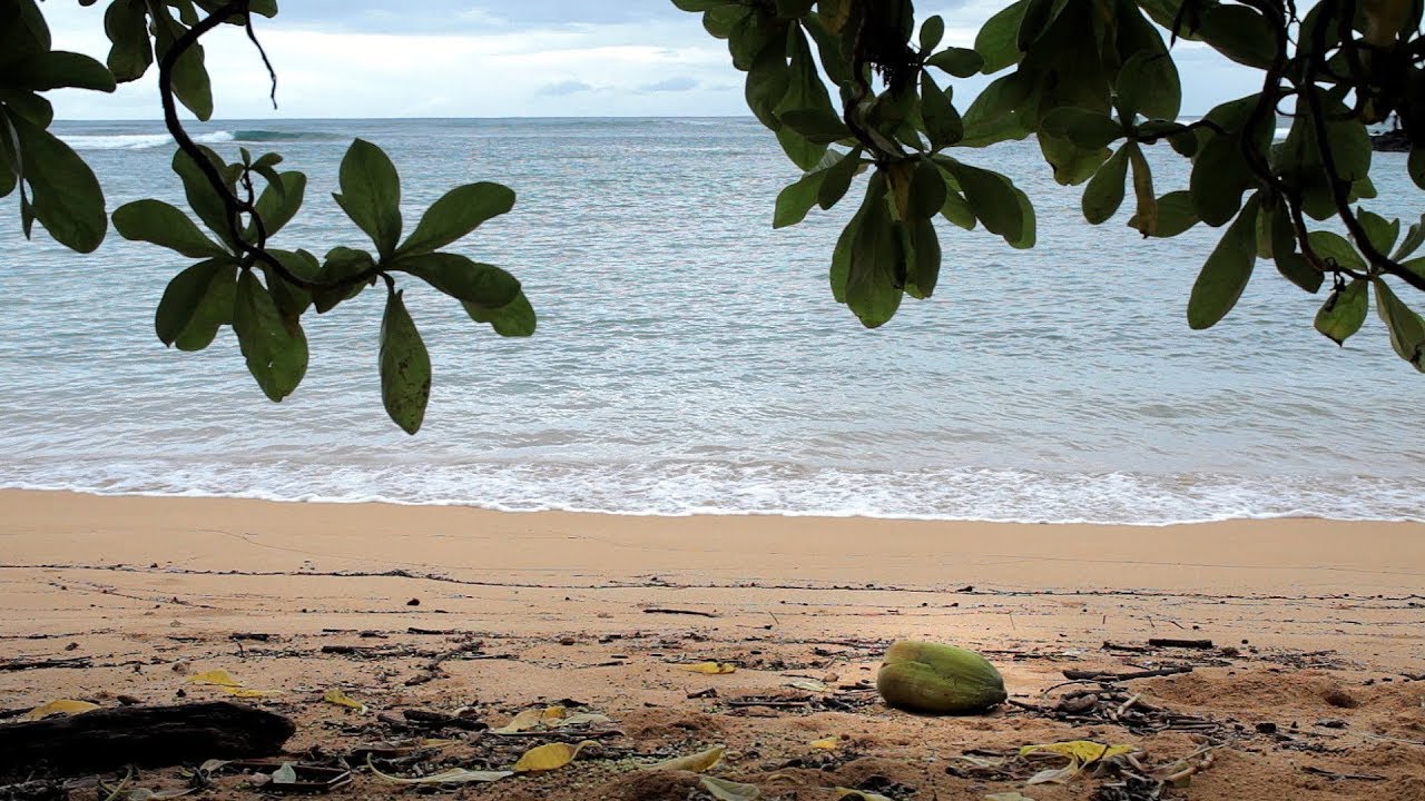 Castaway Beach HD - Relaxing Ocean Sounds - YouTube