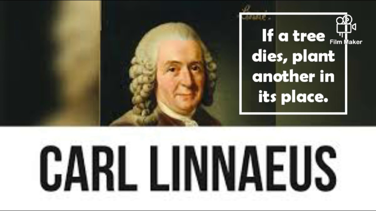 Tribute to Carl Linnaeus 🌿 A person who dedicated his life to Plants ...