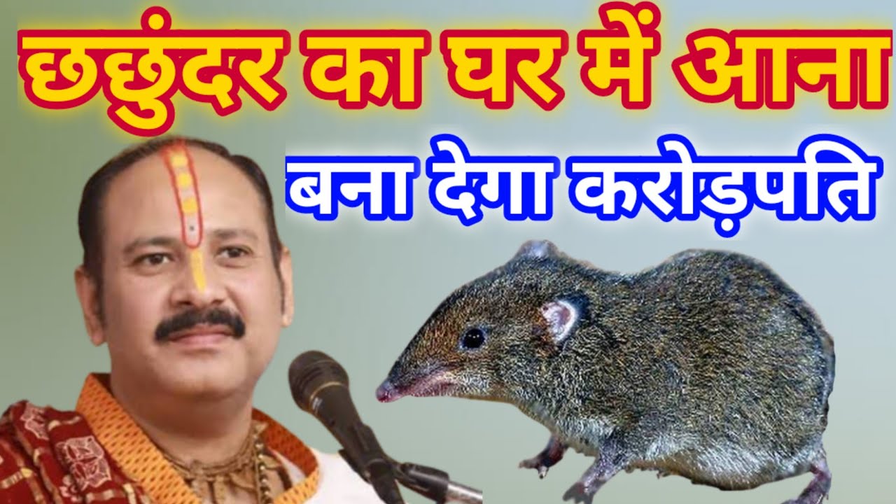 छछूंदर का घर में आना ? chachundar ka ghar me aana #aniruddhacharya ...