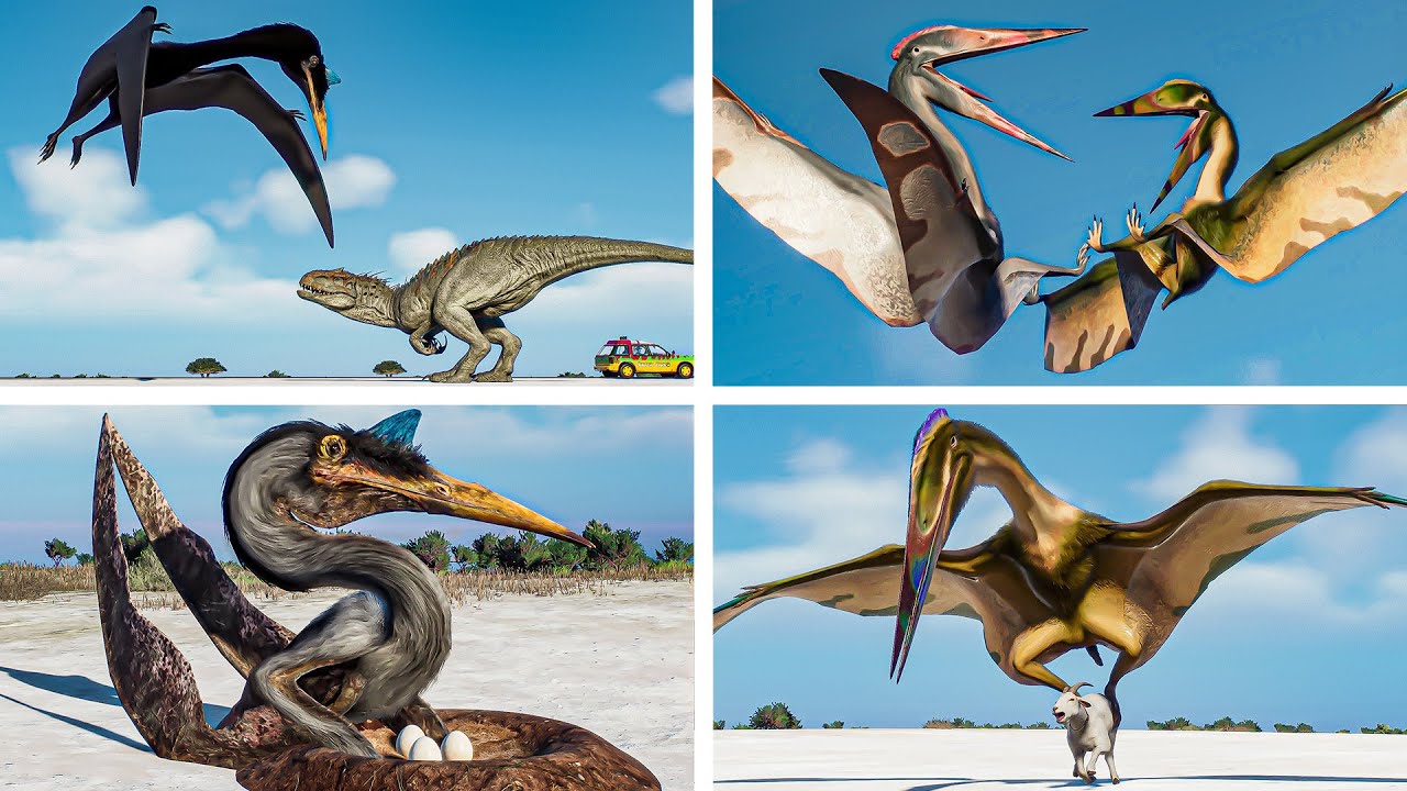 All 12 Flying Reptiles "BEST & MOST UNIQUE" Animations + All DLC | JWE ...