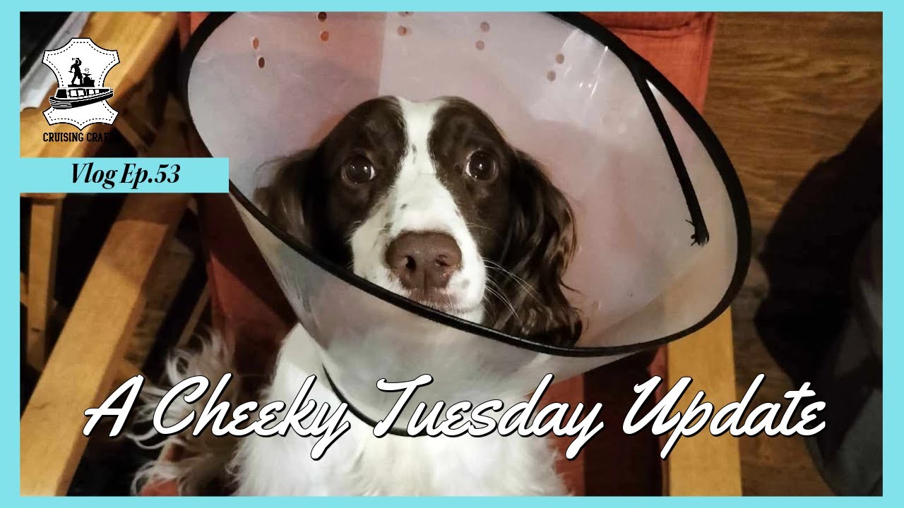 Cheeky Tuesday #53 : Join us for another cheeky Tuesday chat onboard ...