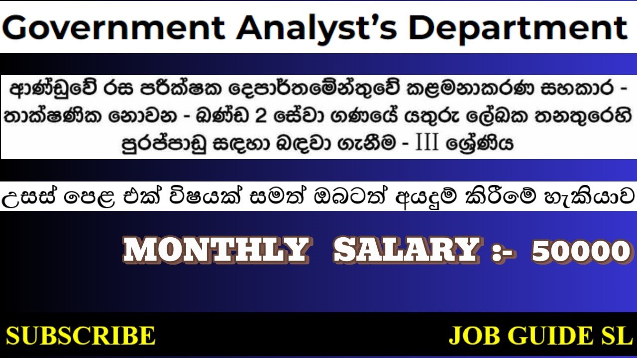 Government Analyst's Department Job Vacancy 2024 | Management Assistant ...