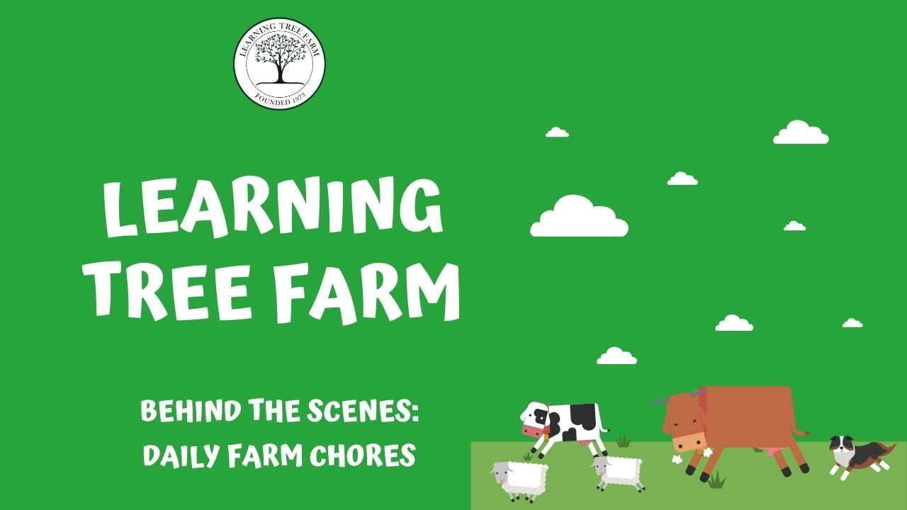 Daily Farm Chores | Behind the Scenes at Learning Tree Farm - YouTube