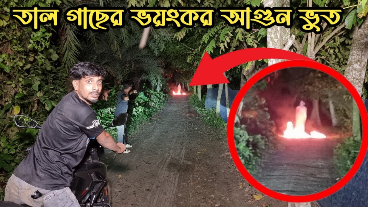 তাল গাছের ভয়ংকর ভূতের কর্মকাণ্ড || Activities Of Palm Tree Ghost || Ghost Fighter - YouTube
