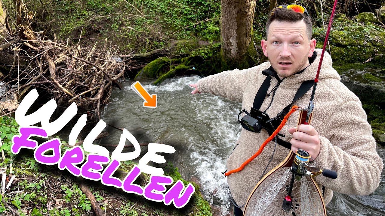So ein toller Fisch im wilden Bach. Angeln auf Forelle - YouTube