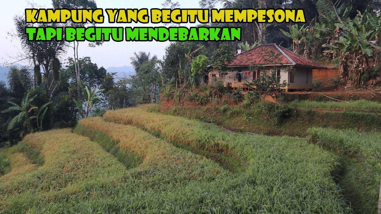 Ada Apa..?? Kampung Yang Begitu Indah Tapi Menakutkan..???? - YouTube