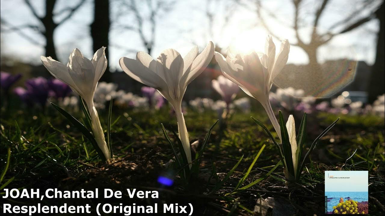 JOAH,Chantal De Vera - Resplendent (Original Mix)[SHM044] - YouTube