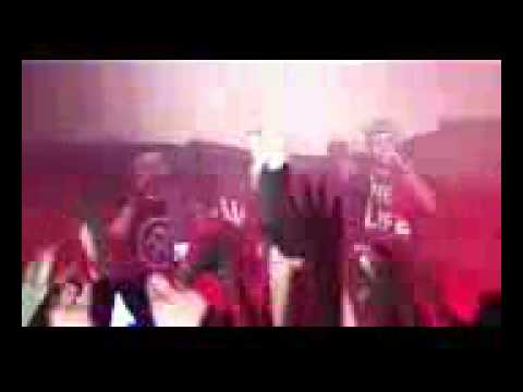 Xpert (qan rengi yasil)