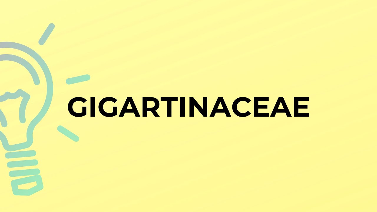 What is the meaning of the word GIGARTINACEAE? - YouTube