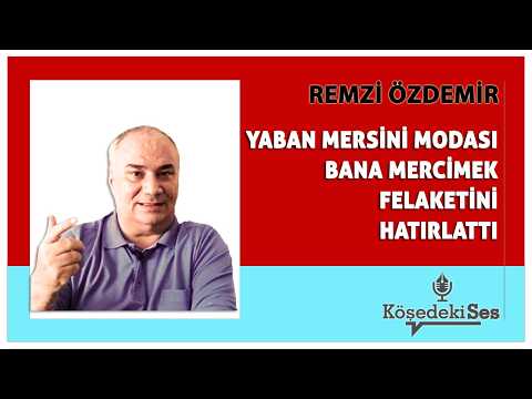 REMZİ ÖZDEMİR - \