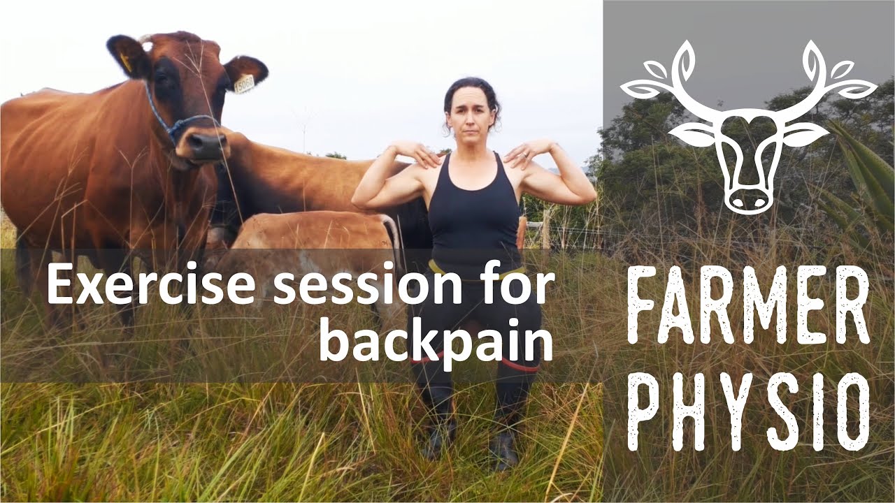 Farmer Physio - Exercise session for People with Back Pain - YouTube