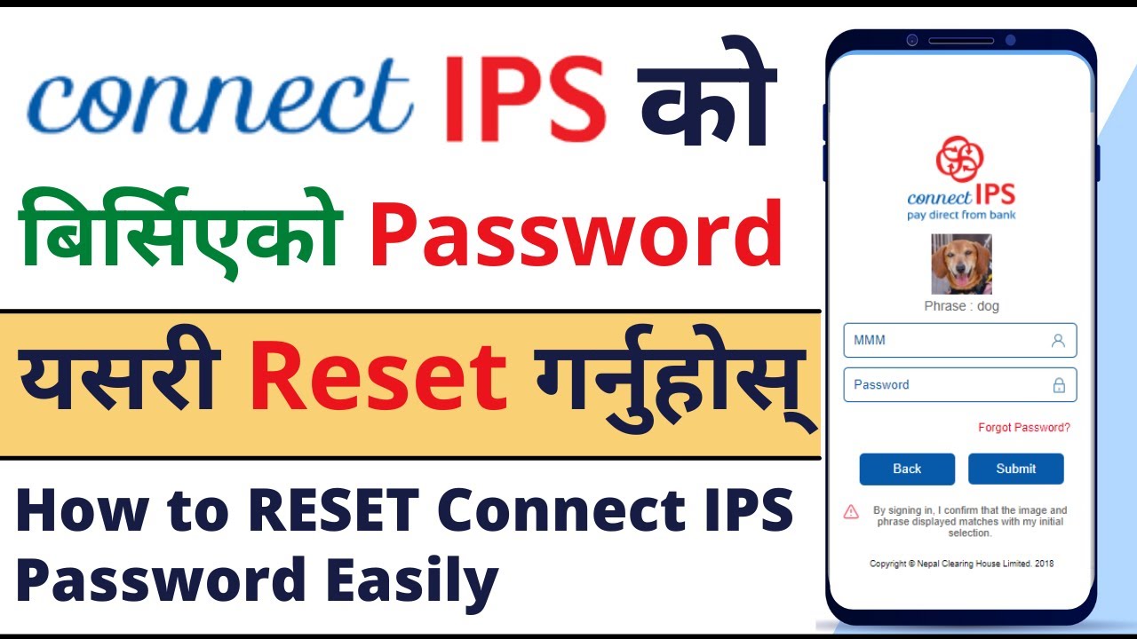How TO Recover Connect IPS Account Password | Reset Connect IPS User ...