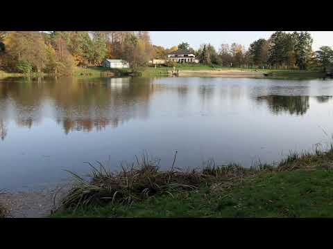 Der Hattsteinweiher bei Usingen in Hessen - Von Klaus Christ