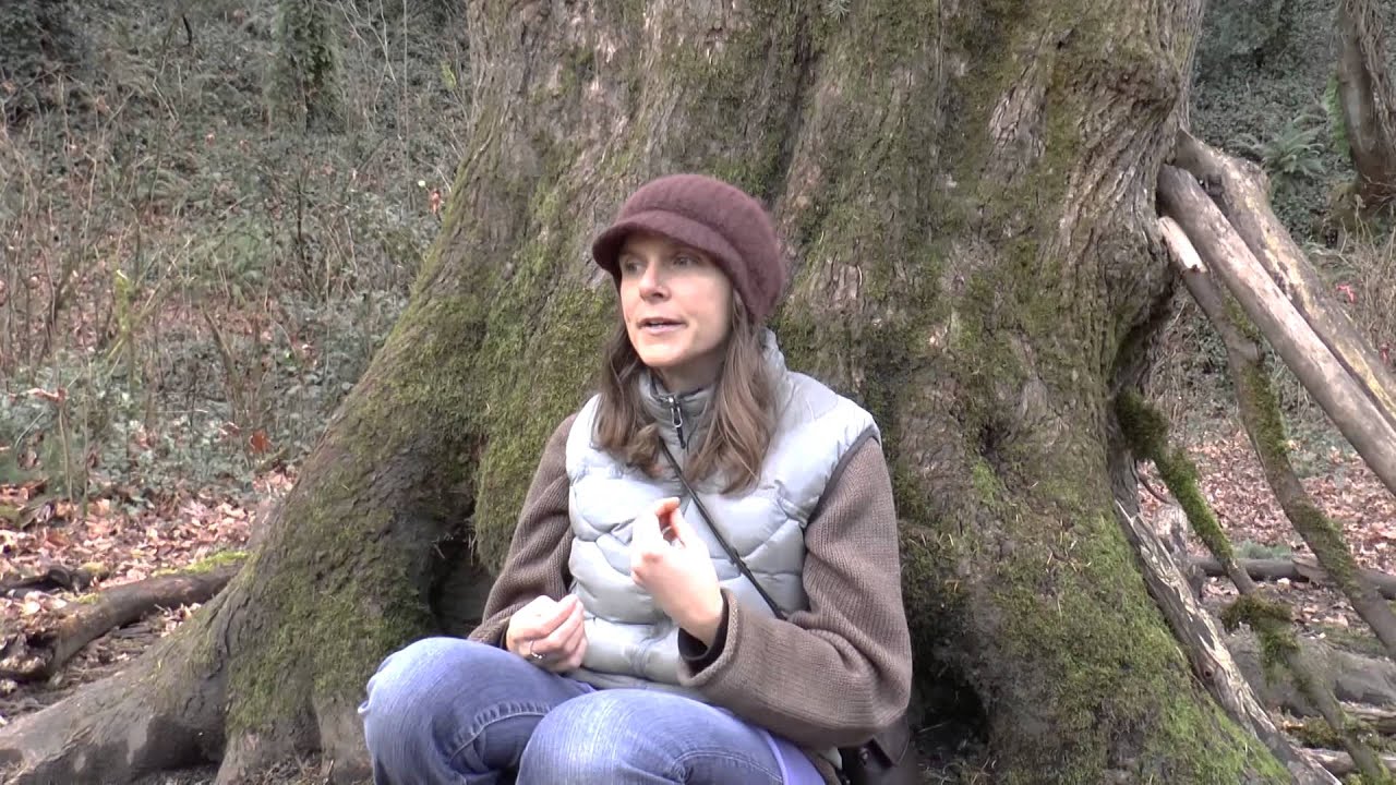 Mother Earth School Portland, Oregon - YouTube