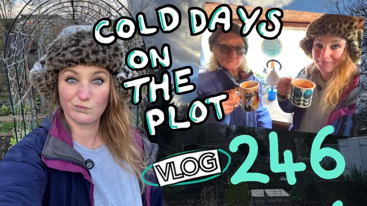 Chilly days on the Allotment. Clearing the greenhouse out and mulching the Dahlias. Ep246 ...