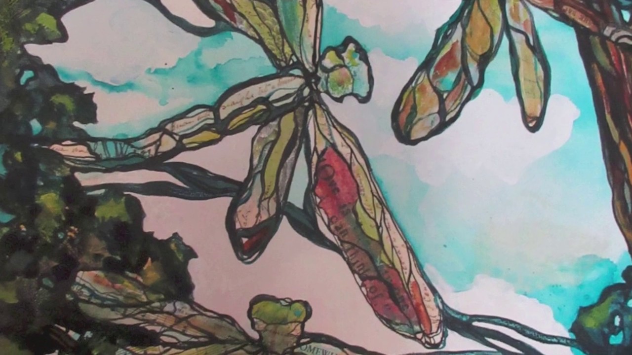 Gallery 59 . Arbutus Trees Art - YouTube