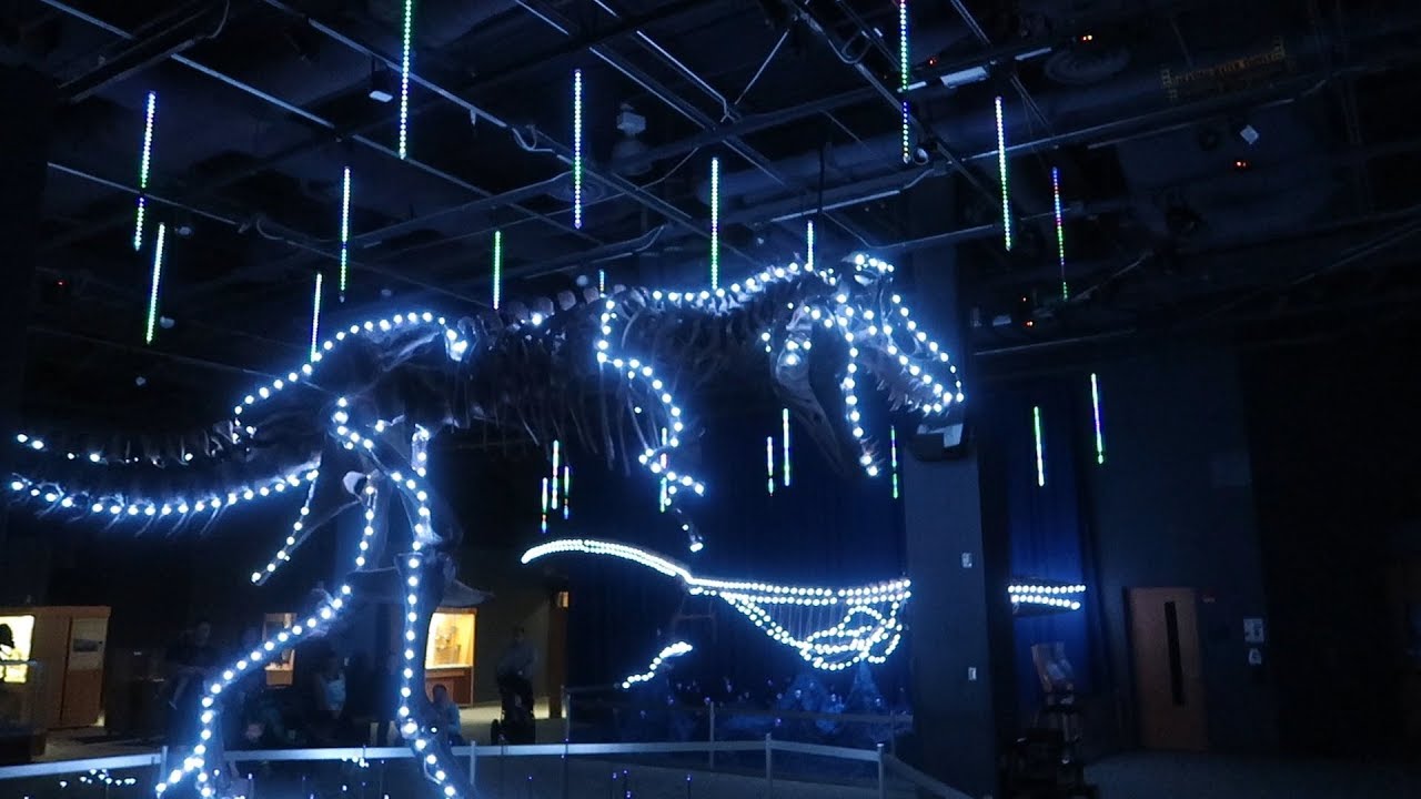 Orlando Science Center & A Lunch Date! | Dinosaurs Dancing Lights Show ...