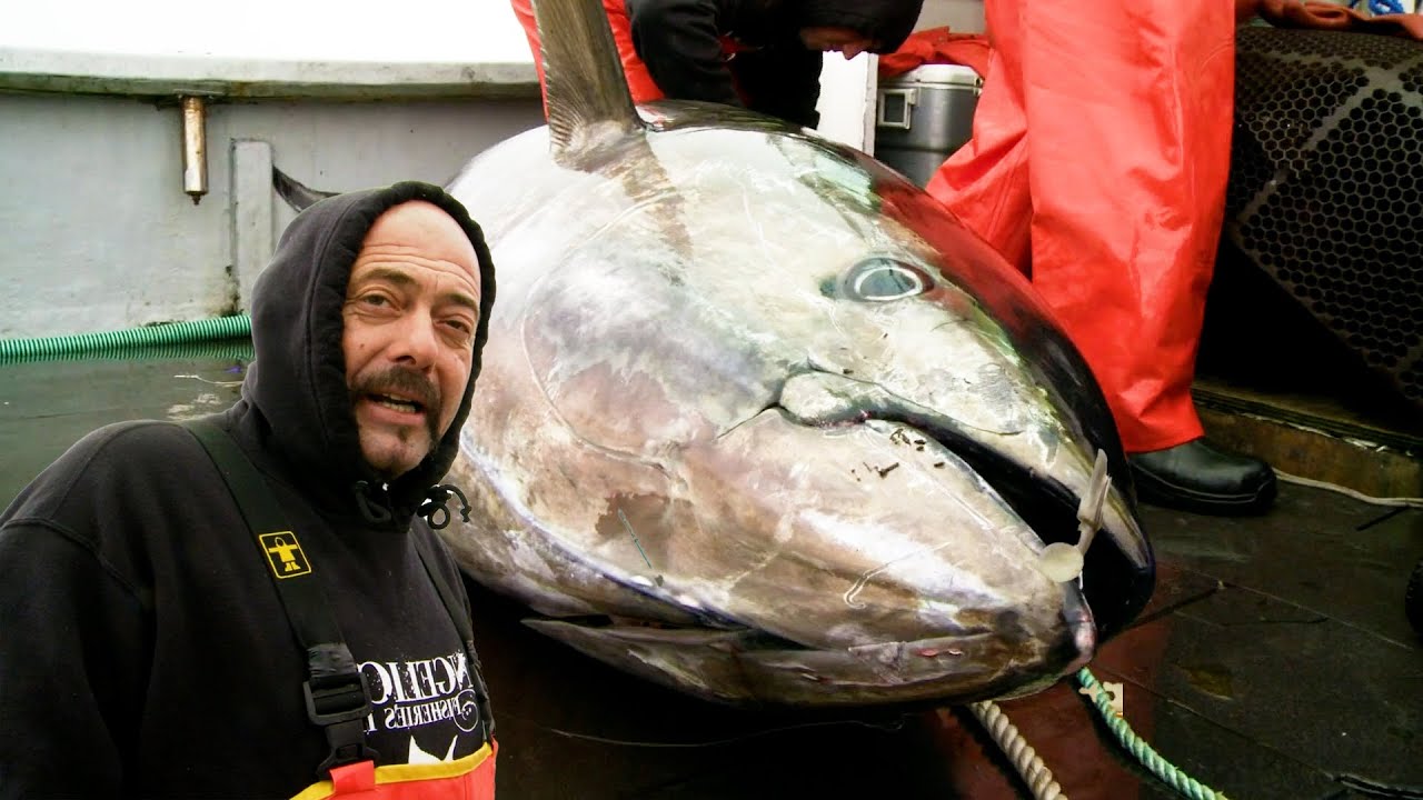 This man caught a giant tuna and made a huge payday - YouTube