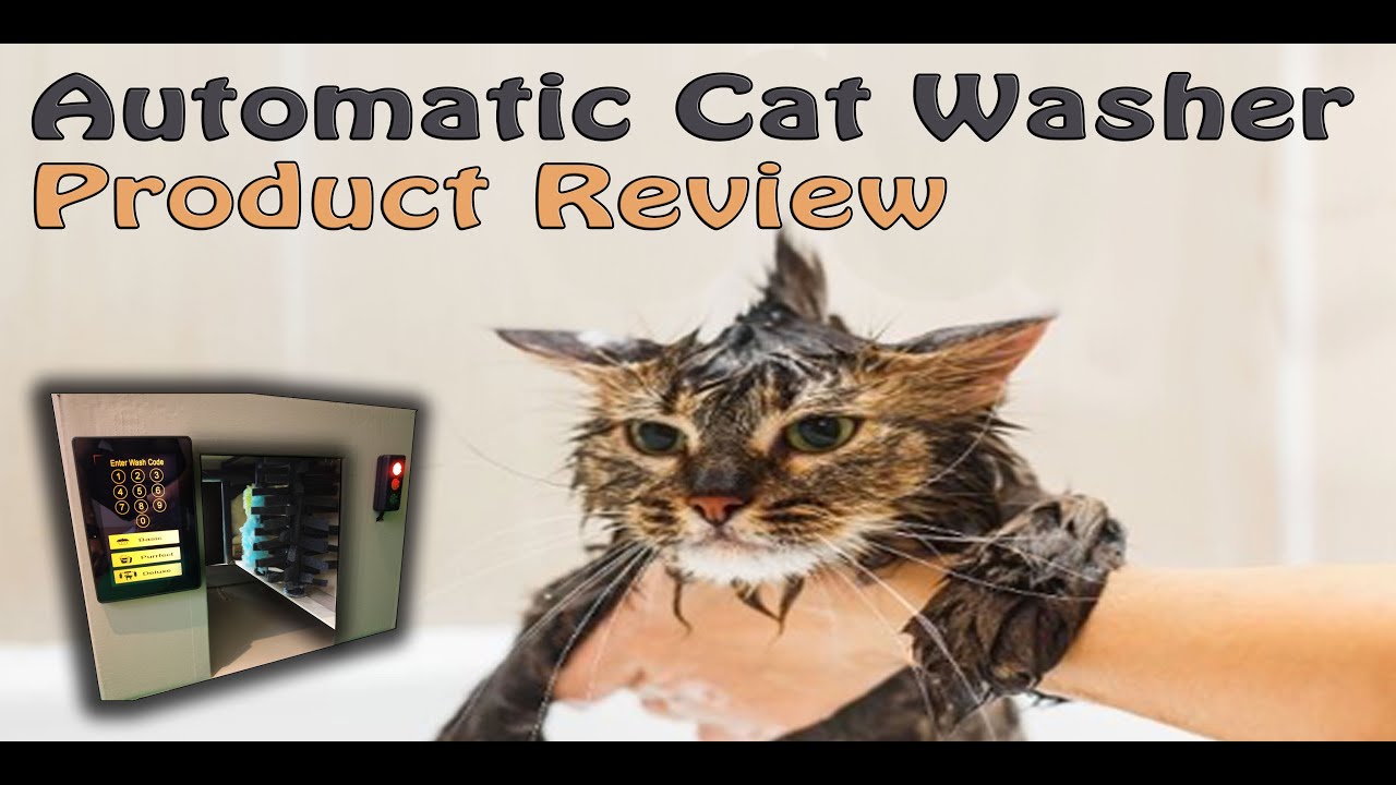 Automatic Cat Washer Product Review - YouTube