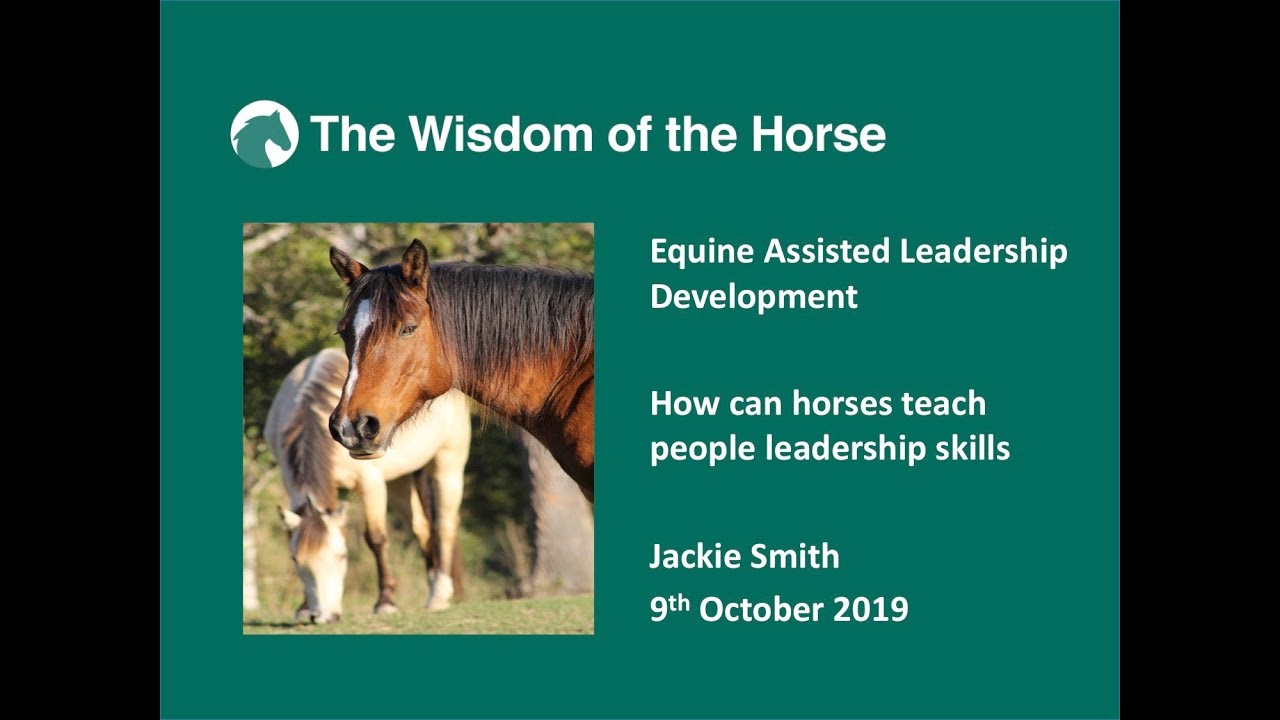 How can horses teach people leadership skills webinar presentation - YouTube