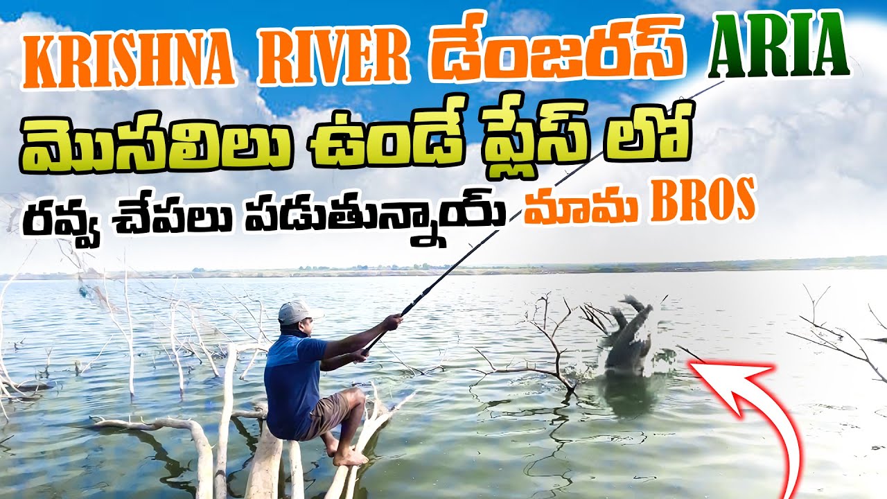 Gundlapalli Krishna river డేంజరస్ Aria మొసలిలు ఉండే ప్లేస్ లో రవ్వ ...