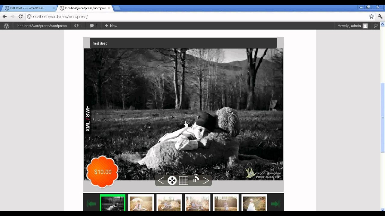 WordPress DreamWork Gallery Installation - YouTube