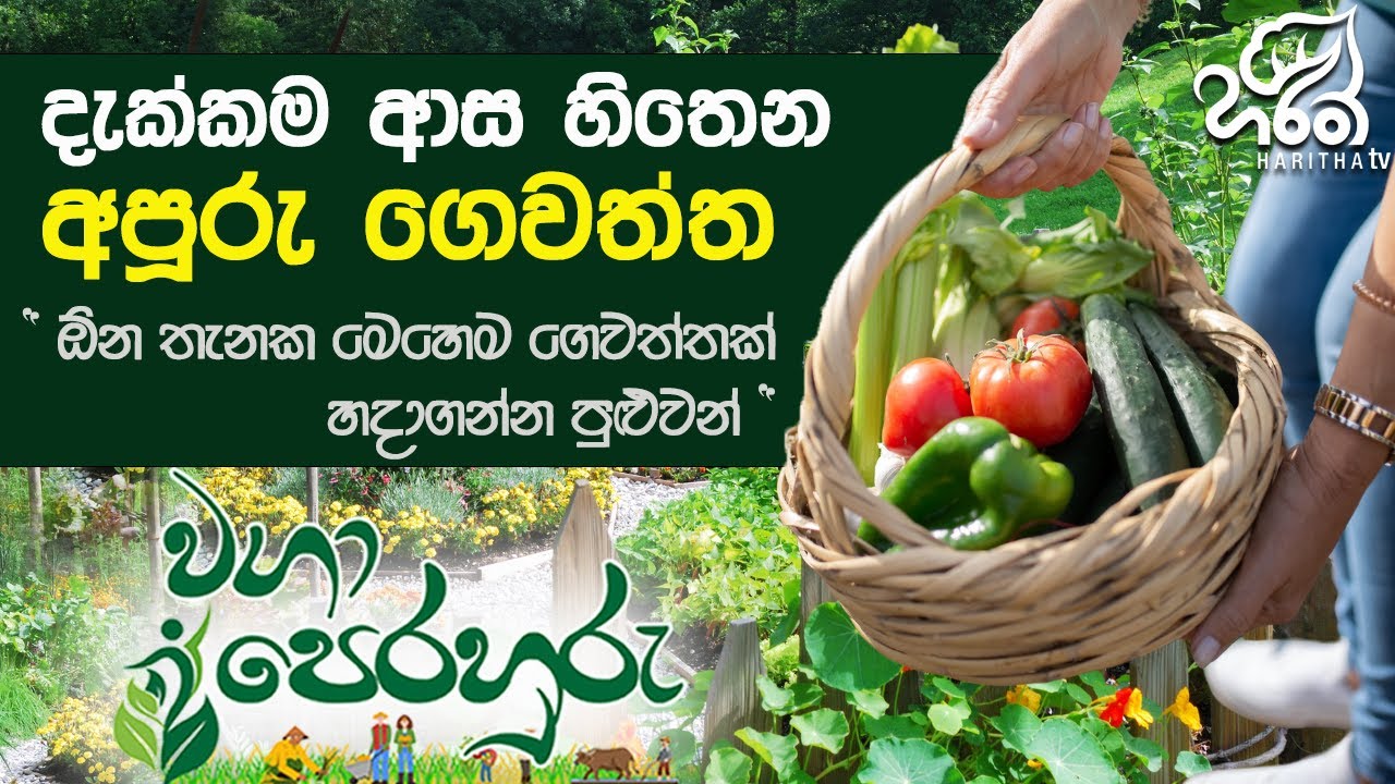 පොඩි ඉඩකත් අපූරු ගෙවත්තක් හරියටම හදාගමු | Haritha Tv | Waga Perahuru ...