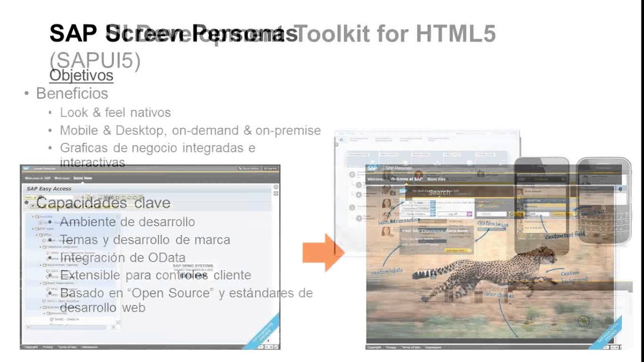 Sesión 3, Módulo 3 LINK Lo último en tecnología SAP para interfaz de ...