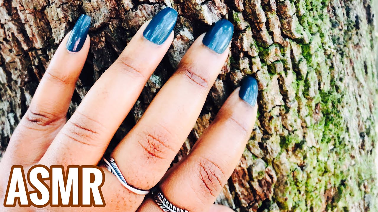 ASMR~Outdoor Tapping and Scratching ~Nature Sounds~No Talking - YouTube