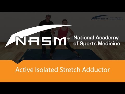 Active Isolated Stretch Adductor