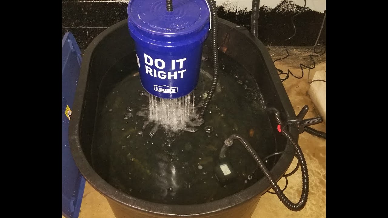 Homemade bait tank - YouTube