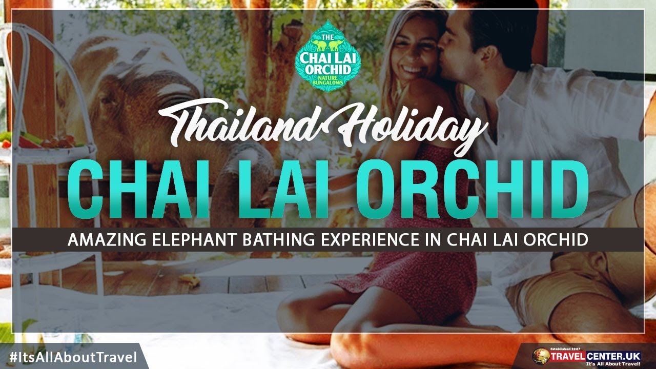 Chai Lai Orchid Thailand | Elephant Hotel Chiang Mai - YouTube