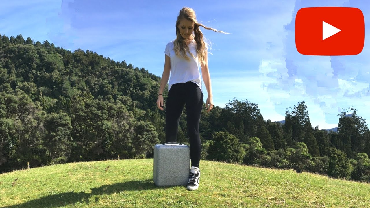 Cascade Kauri Reg. Park | Kiwi | Bush walk |100% Pure New Zealand ...